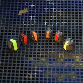 Cresta Supa Plummets Lead Flerfärgad 15g - Hitta bästa pris på Prisjakt