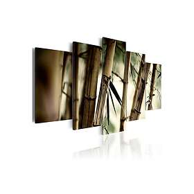 Tavla Asian Bamboo Forest 200x100 sp. z o. TM-N1371-DKX - Sammenlign ...