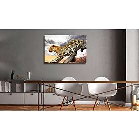 Tavla Predatory Stare 60x40 sp. z o. TM-N5885 - Hitta bästa pris på ...