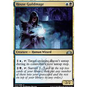 löskort: Guilds of Ravnica: House Guildmage - Hitta bästa pris på Prisjakt