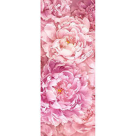 Komar Fototapet Pion Panel 100X250 Cm, Från 595 kr