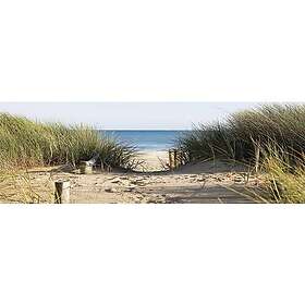 Wall Canvastavla THE Strand och gräs 50x150cm - Hitta bästa pris på ...