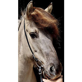 Denni Design Divar Huvudlag med spännen Svart - Hitta bästa pris på ...