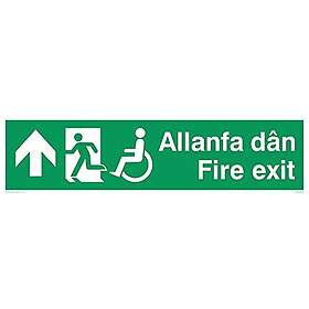 Viking Signs SD1003-L61-V funktionshinder "Allanfa Dan/Fire Exit" skylt ...
