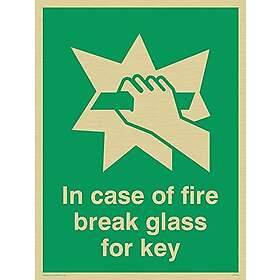 Viking Signs SA406-A5P-G "In Case Of Fire Break Glass For Key" skylt ...