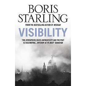 Boris Starling: Visibility, Från 211 kr