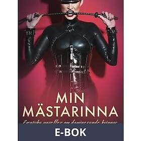 LUST Min mästarinna: erotiska noveller om dominerande kvinnor, E-bok - Hitta bästa pris på Prisjakt