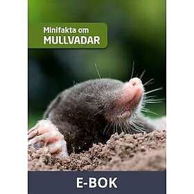 Nypon förlag Minifakta om mullvadar, E-bok - Black Friday 2025 ...