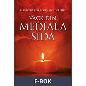 Aware Production Väck din mediala sida, E-bok - Hitta bästa pris på ...