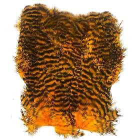 Keough Softhackle patch Grizzly Golden Orange Supermjuka hackles ...