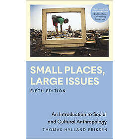 Small Places, Large Issues - Sammenlign priser hos Prisjakt