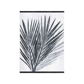 Ekta Living Posterhängare Magnetisk Wall Sticks B2 XL 50,8 cm Svart 51 2 - Hitta bästa pris på ...