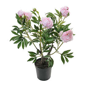 Mr Plant Konstväxt Pion 101344P, Från 2 395 kr