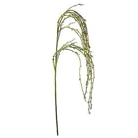 Fröken Fräken Konstväxt Kvist Vit 1123-10 - Hitta bästa pris på Prisjakt