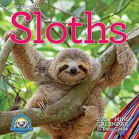 Original Sloths Mini Wall Calendar 2024 - Hitta bästa pris på Prisjakt