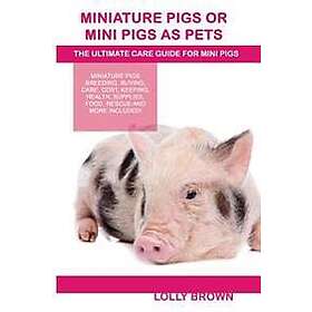 Miniature Pigs or Mini Pigs as Pets: Miniature Pigs Breeding, Buying ...