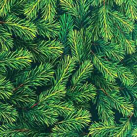 ZannaZ Granris Zelected By - Hitta bästa pris på Prisjakt