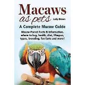 Lolly Brown: Macaws as Pets: Macaw Parrot Facts & Information, where to ...