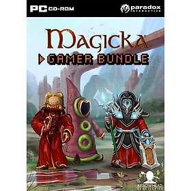Magicka: Gamer Bundle (PC) - Hitta bästa pris på Prisjakt