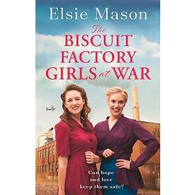 Elsie Mason The Biscuit Factory Girls at War An uplifting saga about ...