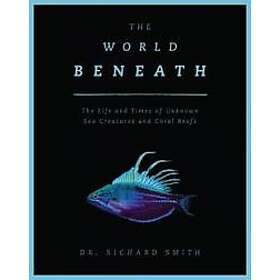 Richard Smith: The World Beneath - Sammenlign priser hos Prisjakt
