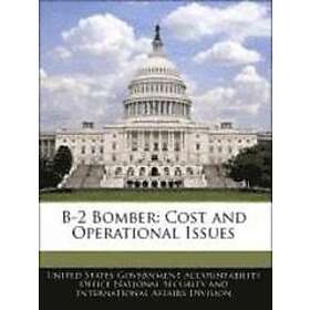 B-2 Bomber, Från 339 kr