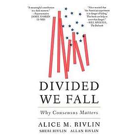 Divided We Fall - Sammenlign priser hos Prisjakt