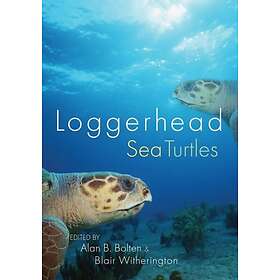 Loggerhead Sea Turtles - Sammenlign priser hos Prisjakt