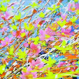 H TO O Cycle LP/Vinyl, Från 369 kr