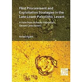 Flint Procurement and Exploitation Strategies in the Late Lower ...