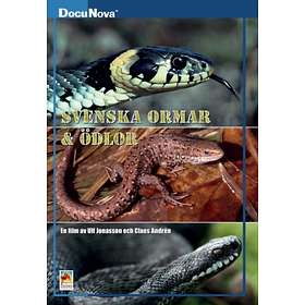 Svenska Ormar & Ödlor (DVD), Från 119 kr