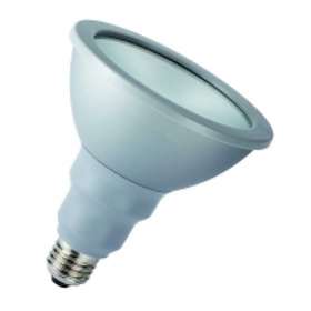 Radium RaLED Star PAR38 1050lm 2700K E27 17W (Dimbar) - Hitta bästa ...