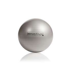 Artzt Vitality Professional Gymboll 65 cm - Hitta bästa pris på Prisjakt
