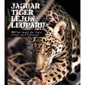 Jaguar, Tiger, Lejon, Leopard Möten Med De Fyra Stora Kattdjuren, Från ...