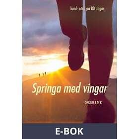 Springa med vingar (E-bok) - Hitta bästa pris på Prisjakt