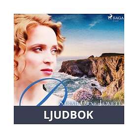 Deephaven, Ljudbok - Hitta bästa pris på Prisjakt