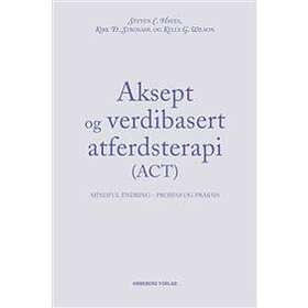 Arneberg Aksept og verdibasert atferdsterapi: mindful endring proses ...