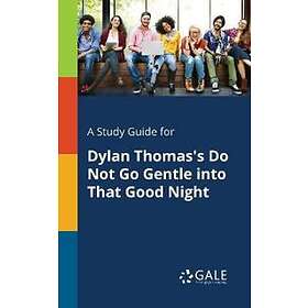 A Study Guide For Dylan Thomas's Do Not Go Gentle Into That Good Night ...