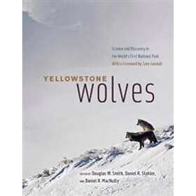Yellowstone Wolves - Black Friday 2025 – Tilbud fra 369