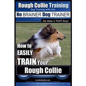 Rough Collie Training Dog Training With The No BRAINER Dog TRAINER We ...