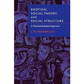 Emotion, Social Theory, And Social Structure - Hitta bästa pris på Prisjakt