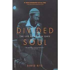 Best pris på Divided Soul Bøker - Sammenlign priser hos Prisjakt