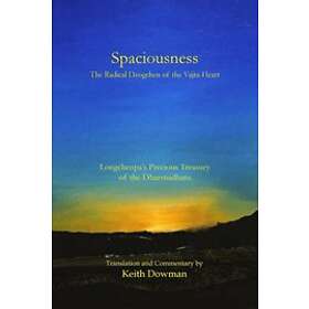 Best pris på Spaciousness Bøker - Sammenlign priser hos Prisjakt