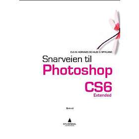 Snarveien Til Photoshop CS6 - Sammenlign priser hos Prisjakt