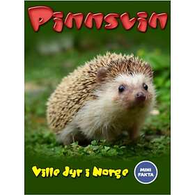 Pinnsvin - Sammenlign priser hos Prisjakt