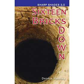 Sixteen Bricks Down (Sharp Shades), Från 89 kr