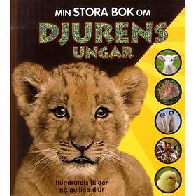 Min Stora Bok Om Djurens Ungar - Hitta bästa pris på Prisjakt