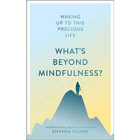 What's Beyond Mindfulness? av Stephen Fulder - Hitta bästa pris på Prisjakt