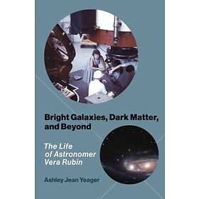 Bright Galaxies, Dark Matter, and Beyond av Ashley Jean Yeager - Hitta bästa pris på Prisjakt