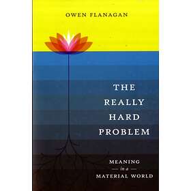 The Really Hard Problem av Owen (Duke University) Flanagan - Hitta rätt ...